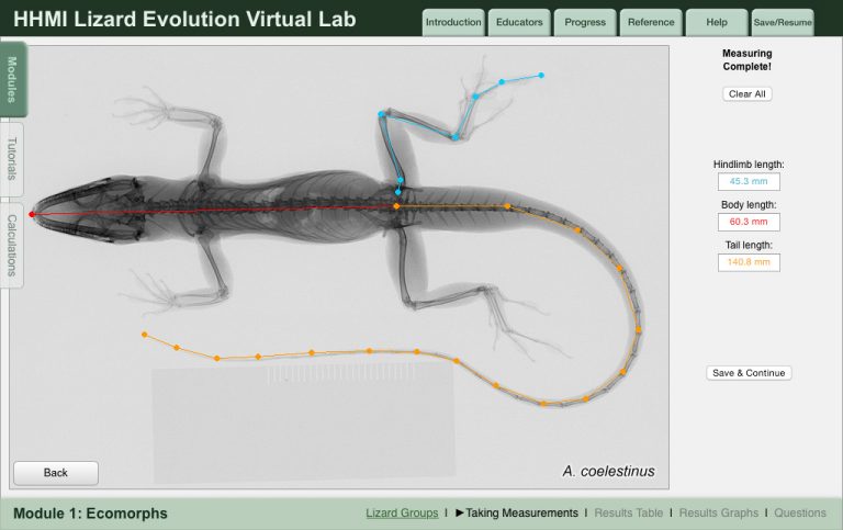 Lizard Evolution Virtual Lab – Astronaut 3 Media Group