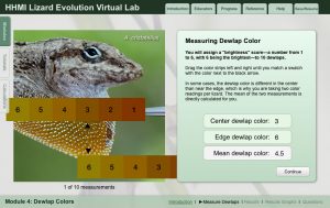 Lizard Evolution Virtual Lab – Astronaut 3 Media Group