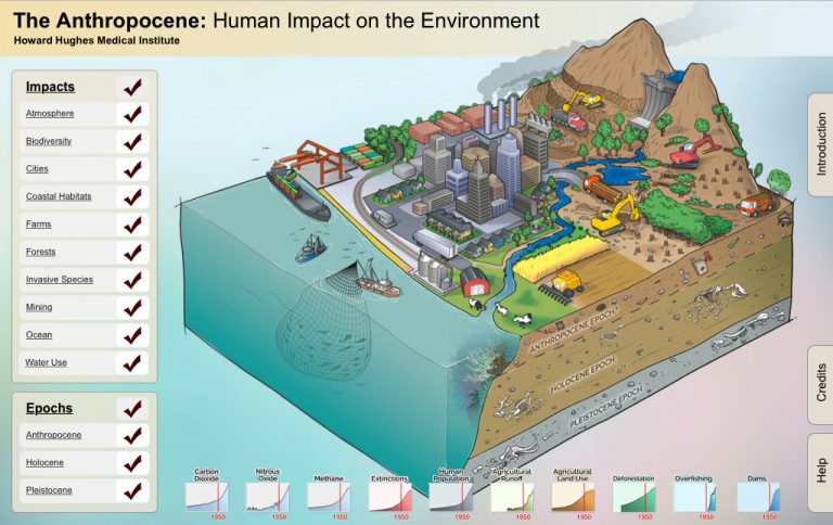 The Anthropocene: Human Impact on the Environment – Astronaut 3 Media Group